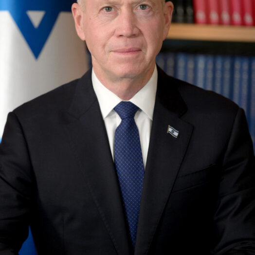 Karine Dana : "Des divergences stratégiques importantes entre ...